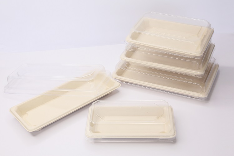 Sugarcane bagasse products丨Biodegradable food containers manufacturer