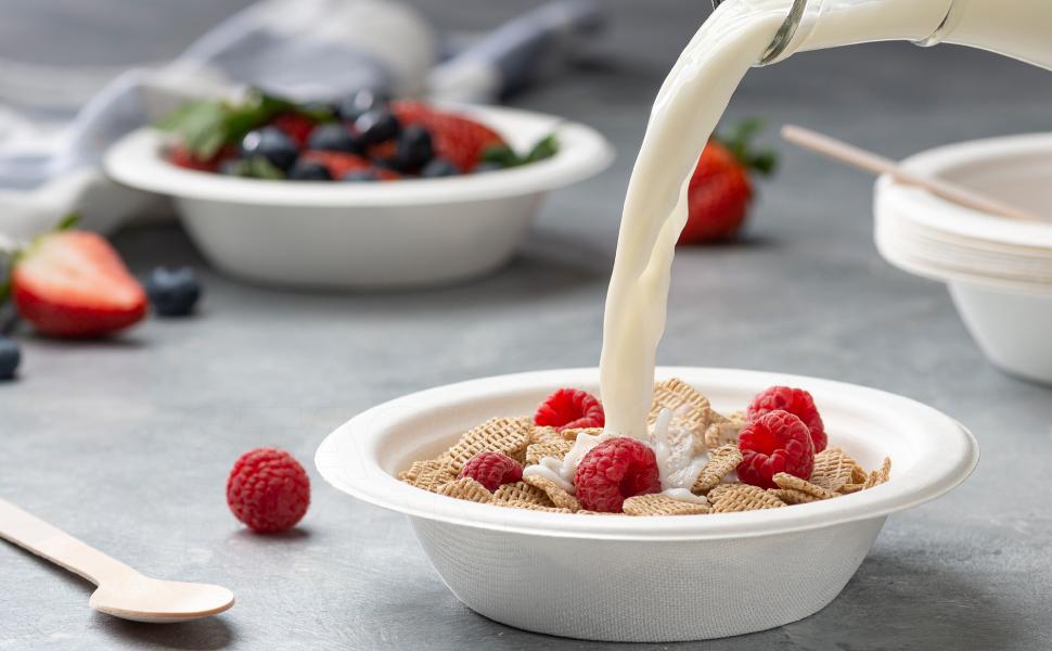 Sugarcane bagasse products丨Biodegradable food containers manufacturer